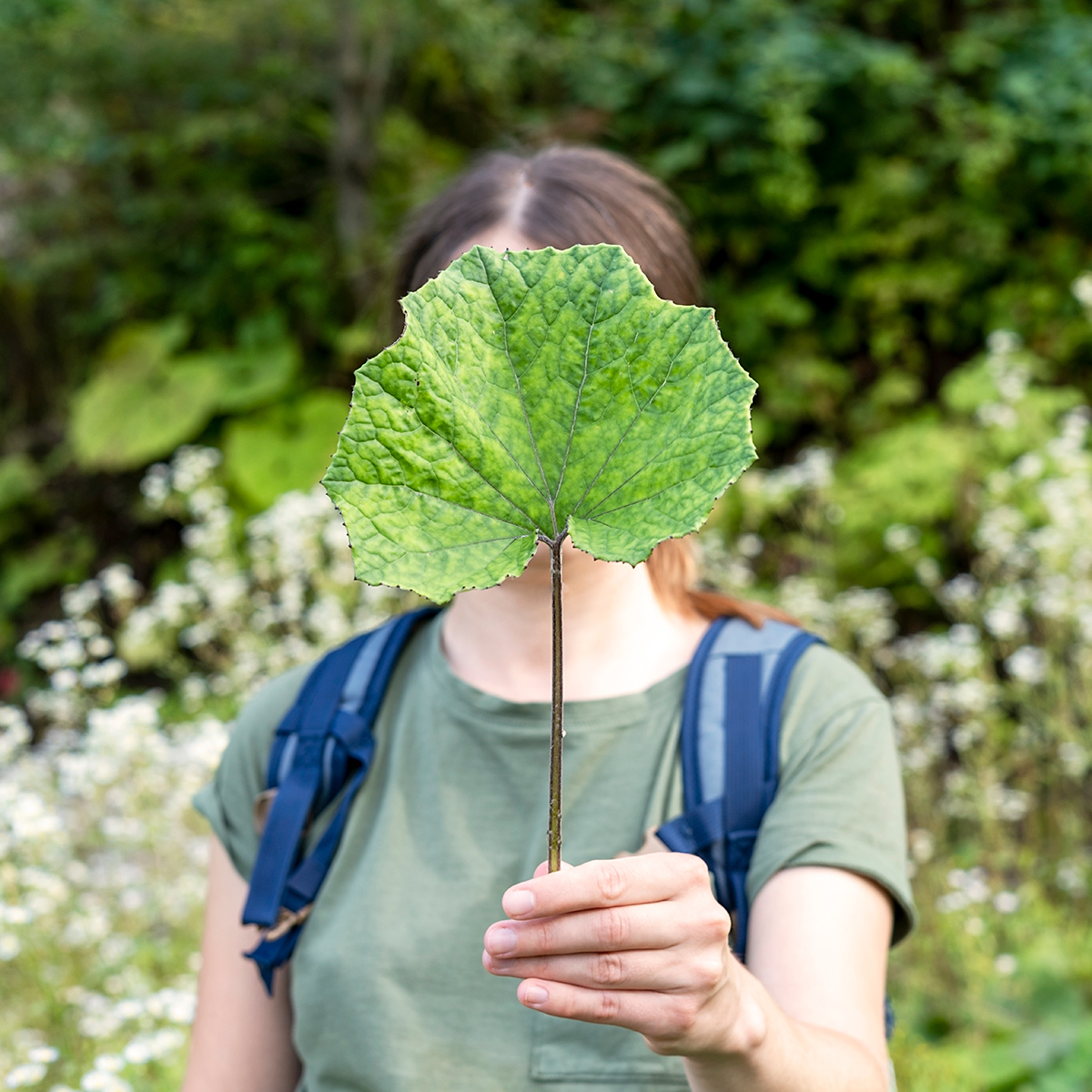 The Impact of Climate Change on Mental Health